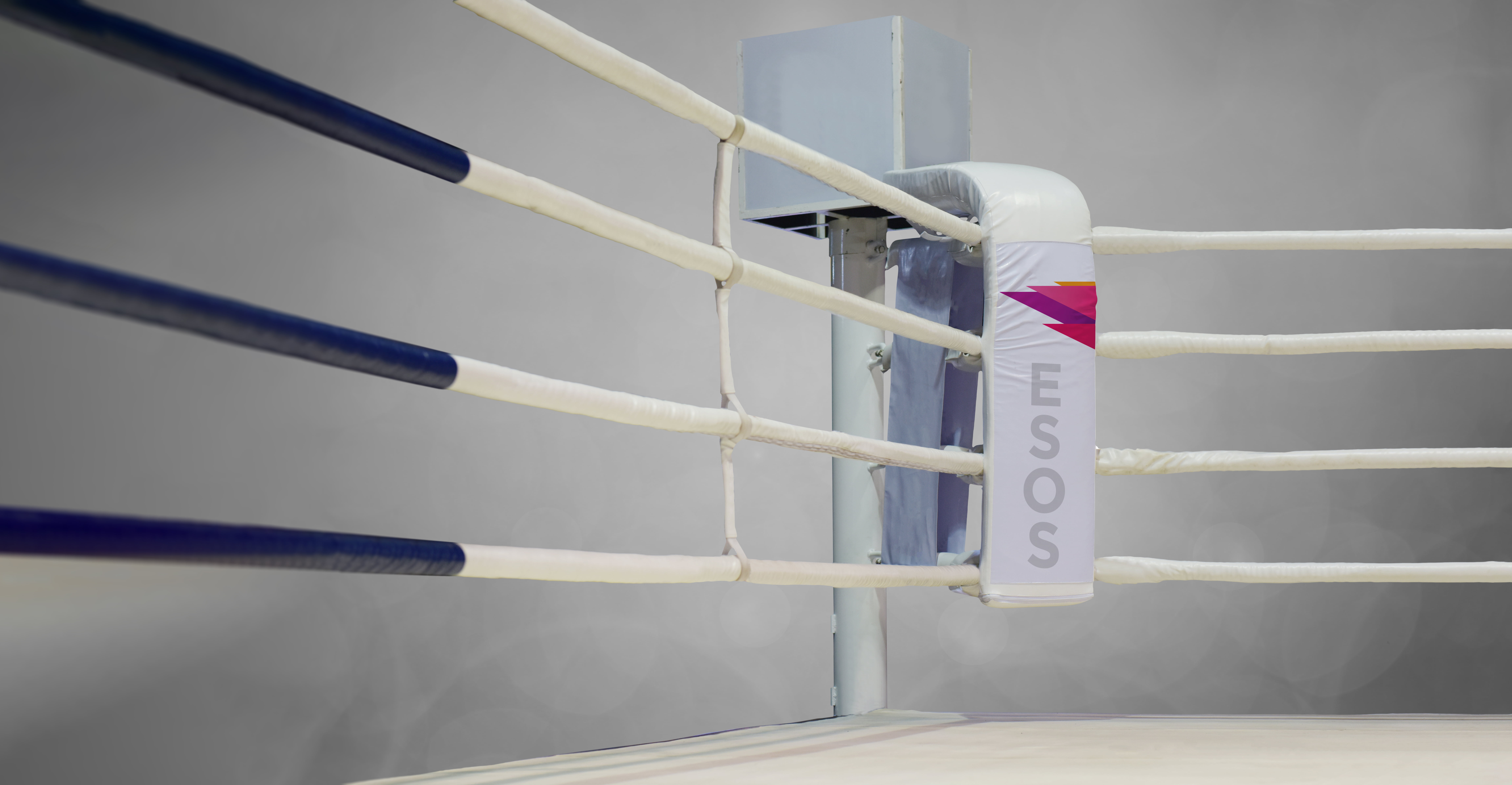 ESOS Phase 2 Complete - Inspired