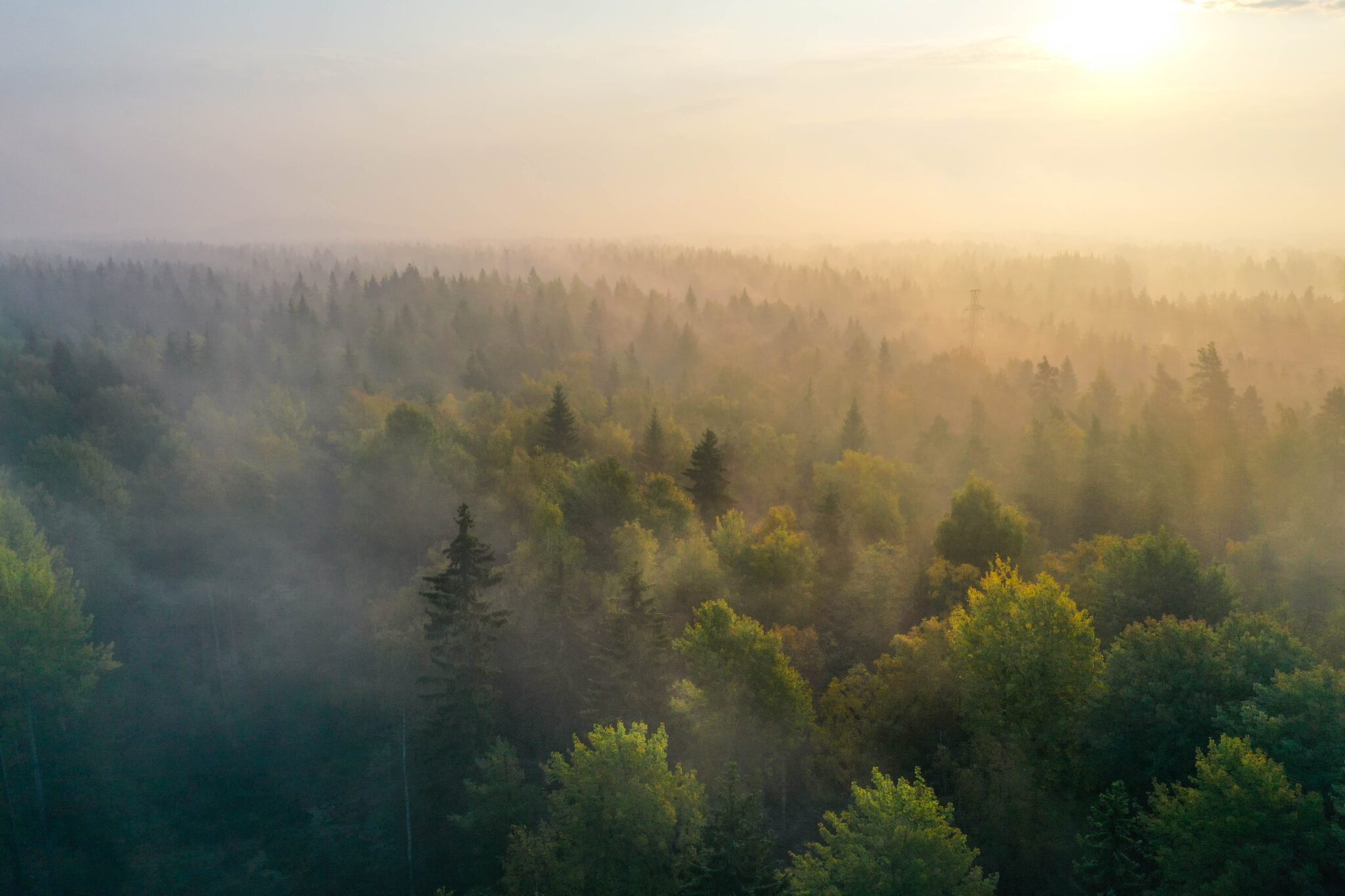ESOS Phase 3 & 4 Reporting | Energy Savings Opportunity Scheme
