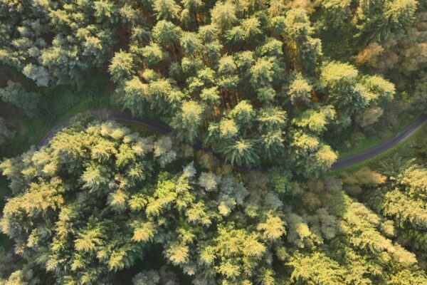 UK Blackout: Government Emergency Strategy Explained